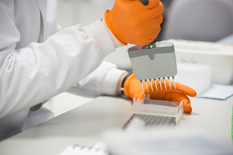 Accessible Single Cell Rna Sequencing Bioinformatics Training Using Galaxy Earlham Institute